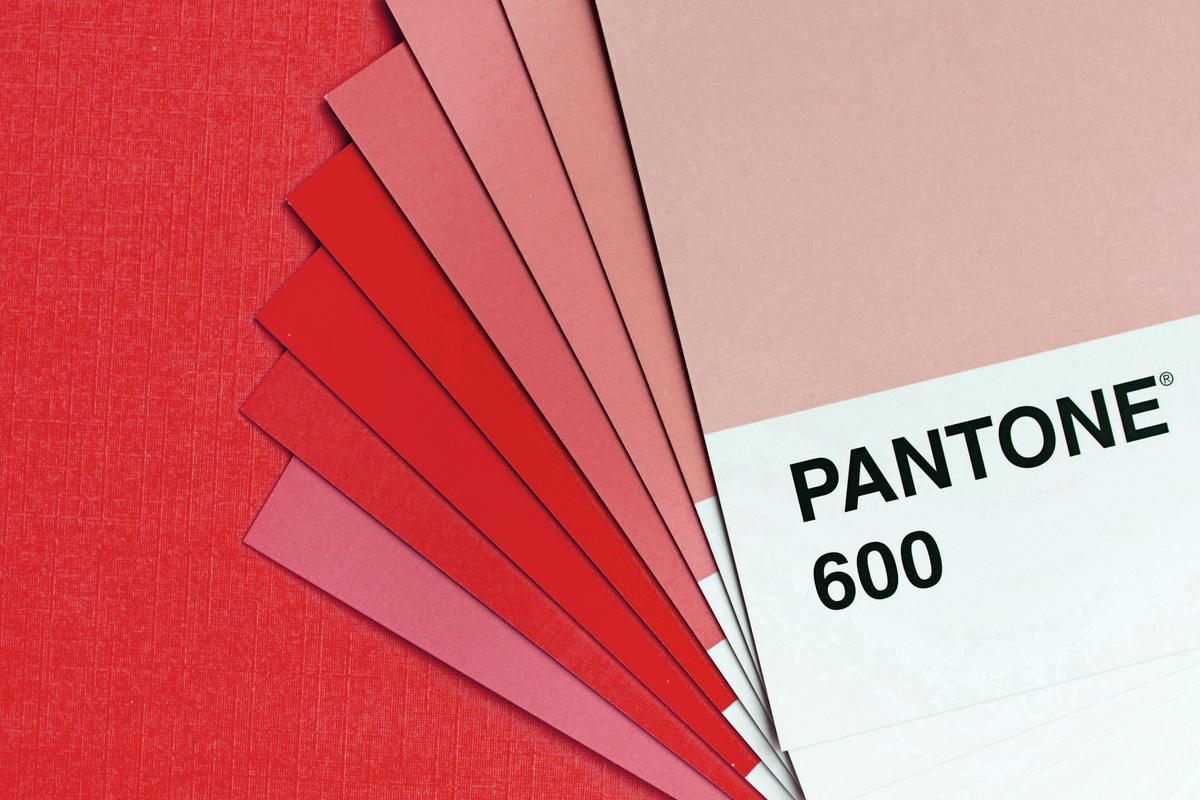 Leadership Programme - Manager coach